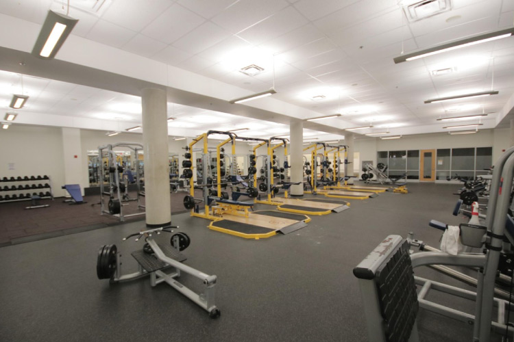 College and University Track & Field Teams | Queen's University